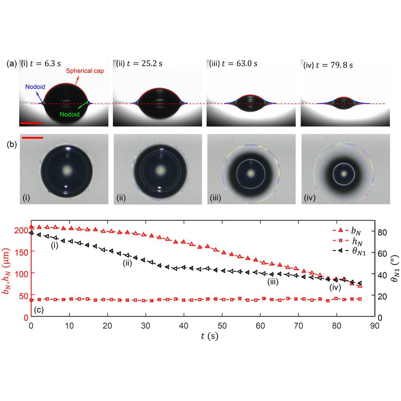 Colloids and Interface Science | IIT Patna
