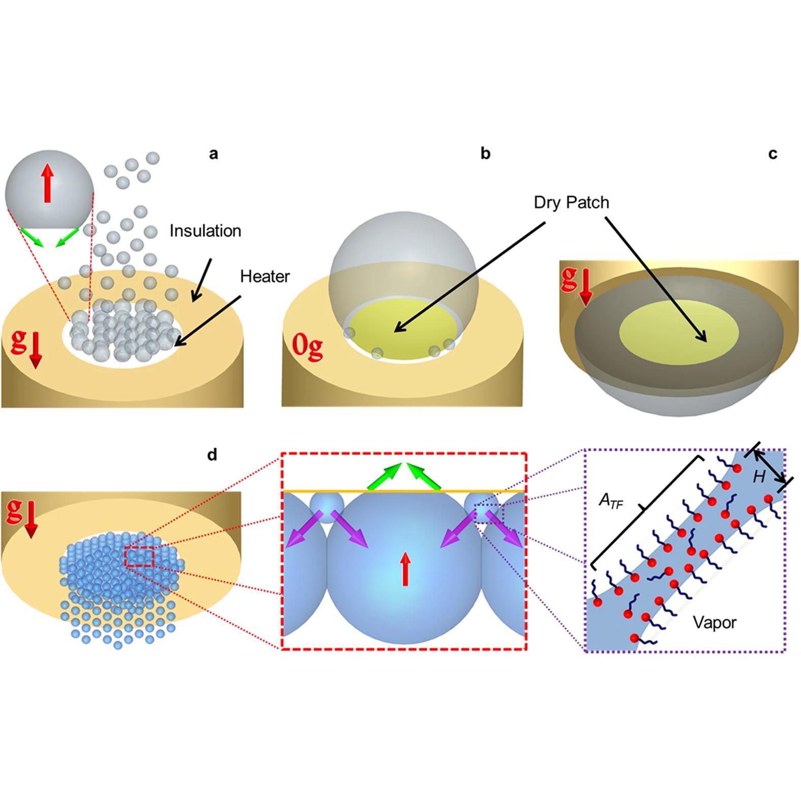 TFTL | Research | Multiphase Heat Transfer